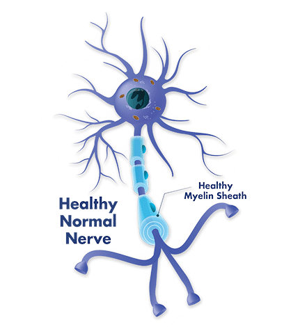 1 Nerve Support page - Real Health Products